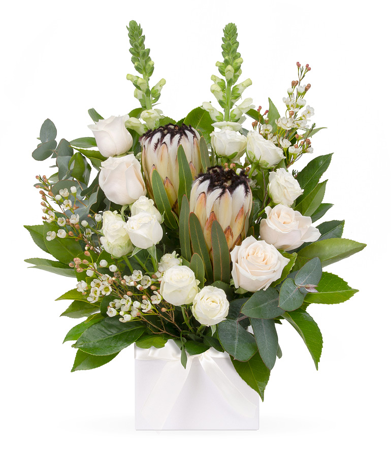 Wild Grace – Luxe Petal