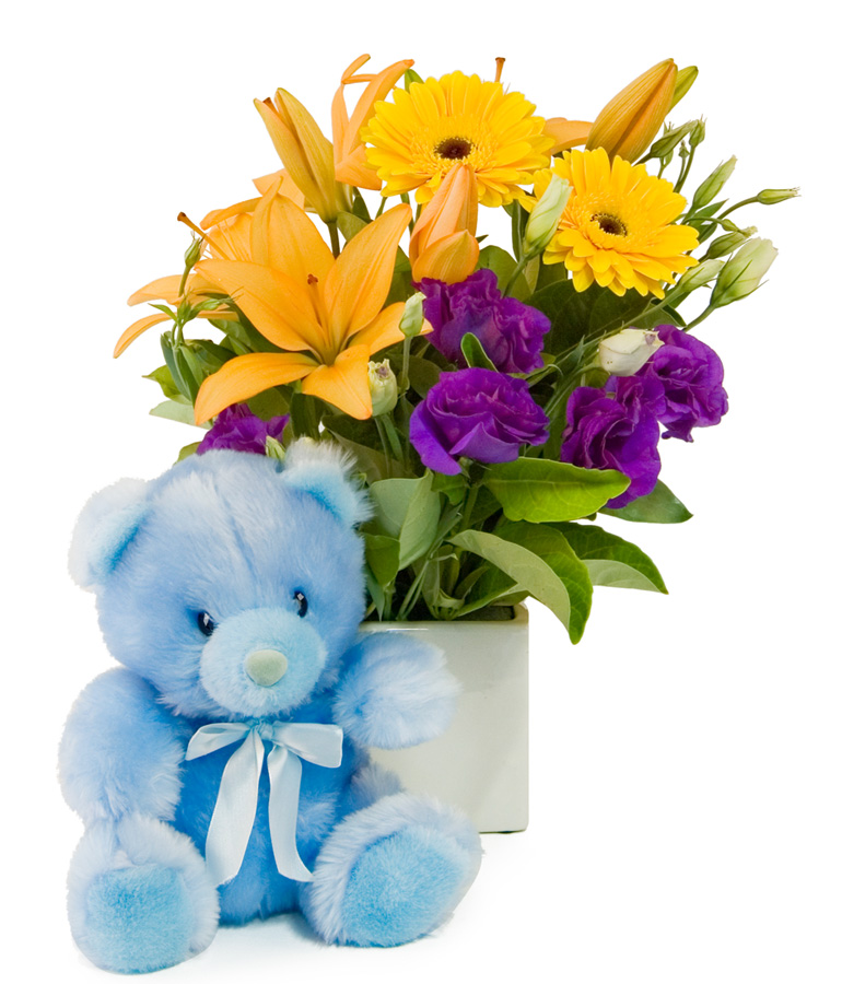 Welcome, Little Star – Luxe Petal